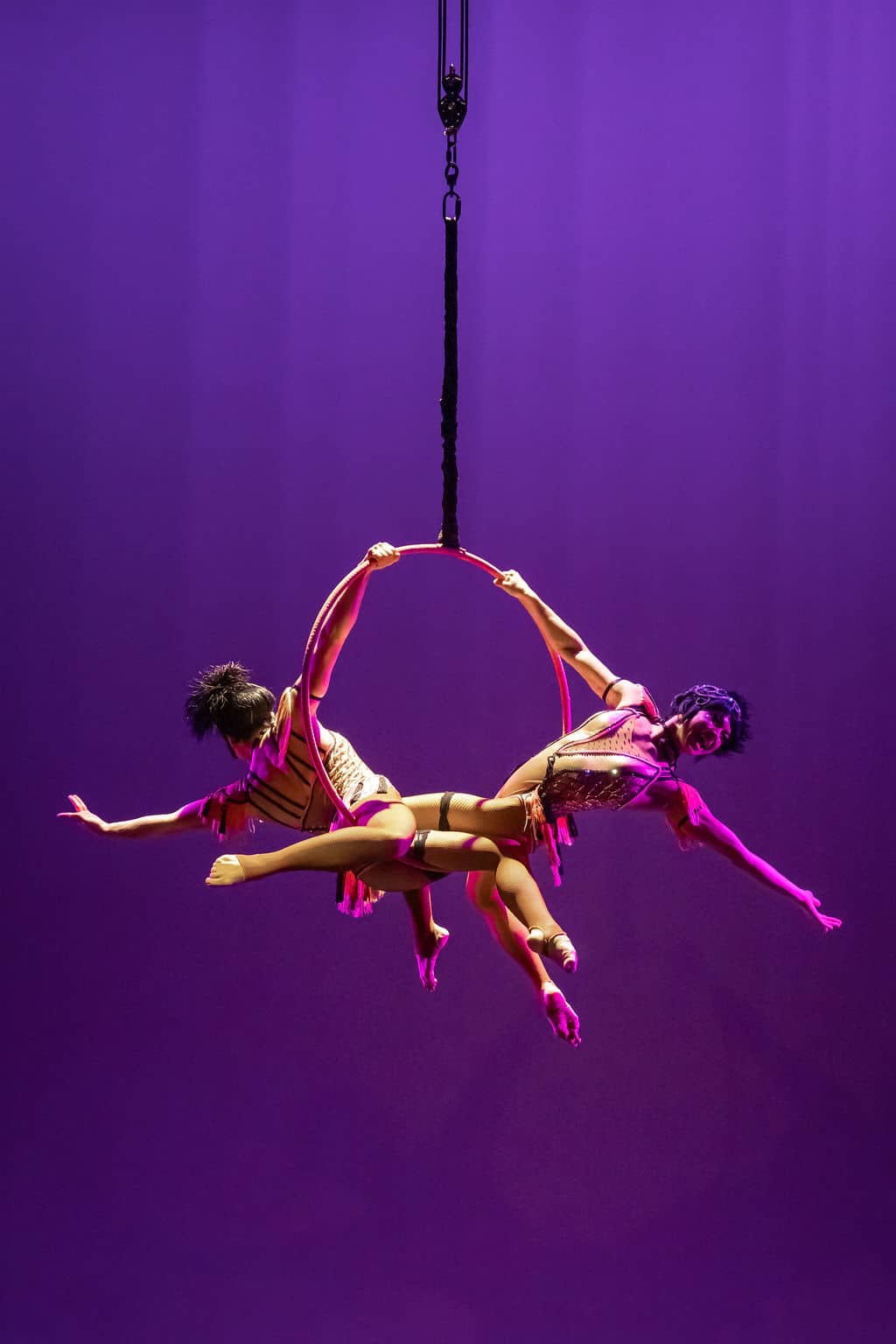 AcroSports 30th Anniversary Gala Photos - AcroSports